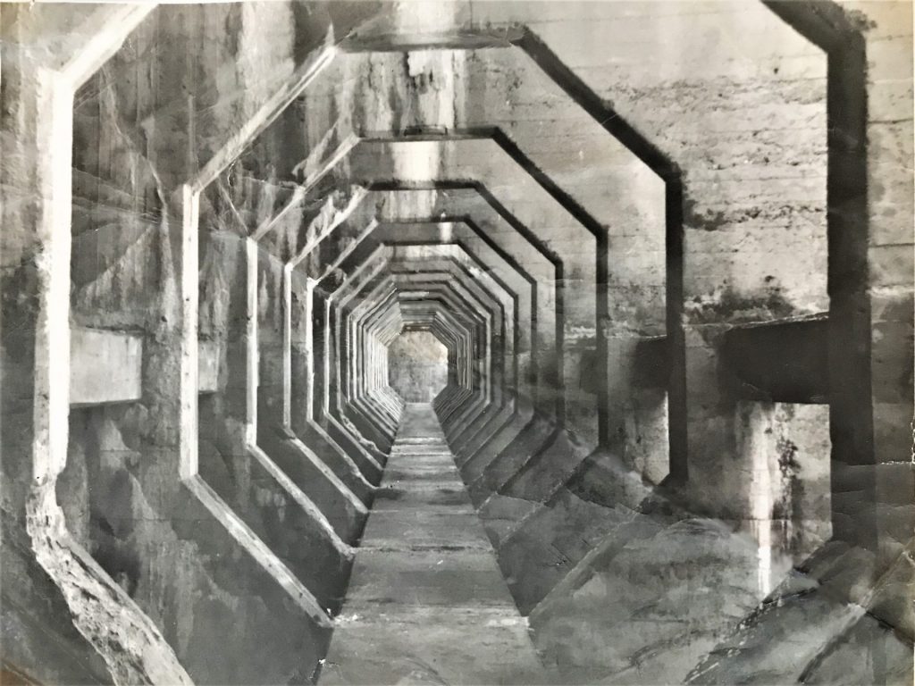 Observation Gangway – Edwin May