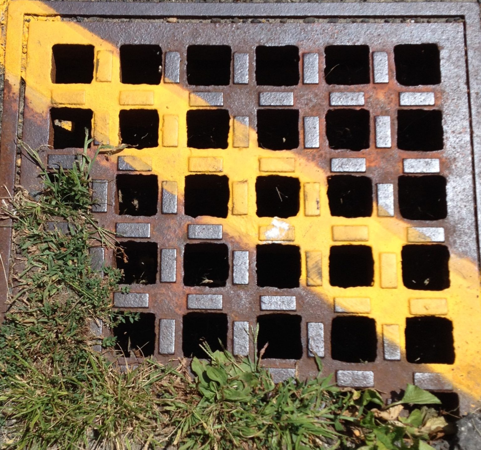 Summer Grate 2014_photograph – Edwin May